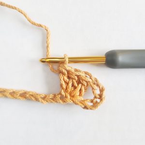 How to Crochet the Shell Stitch (Step-by-Step Instructions) - Easy ...