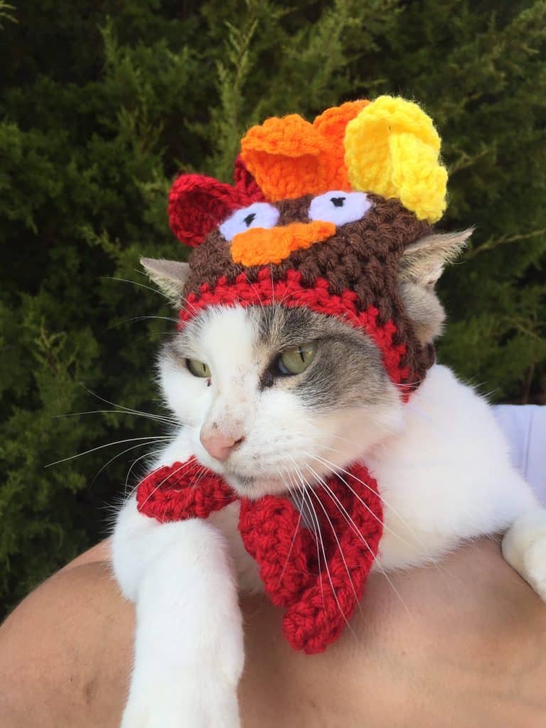 13 Fun & Adorable Crochet Cat Hat Patterns - Easy Crochet Patterns